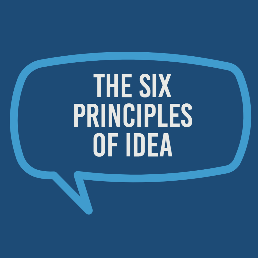 Your Child's Rights: 6 Principles of IDEA
